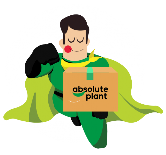 เกี่ยวกับ Absolute Plant - Absolute Plant