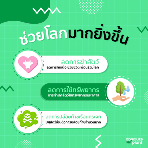 ทำไมต้องเลือก ? #AbsolutePlant : 🌱 - Absolute Plant
